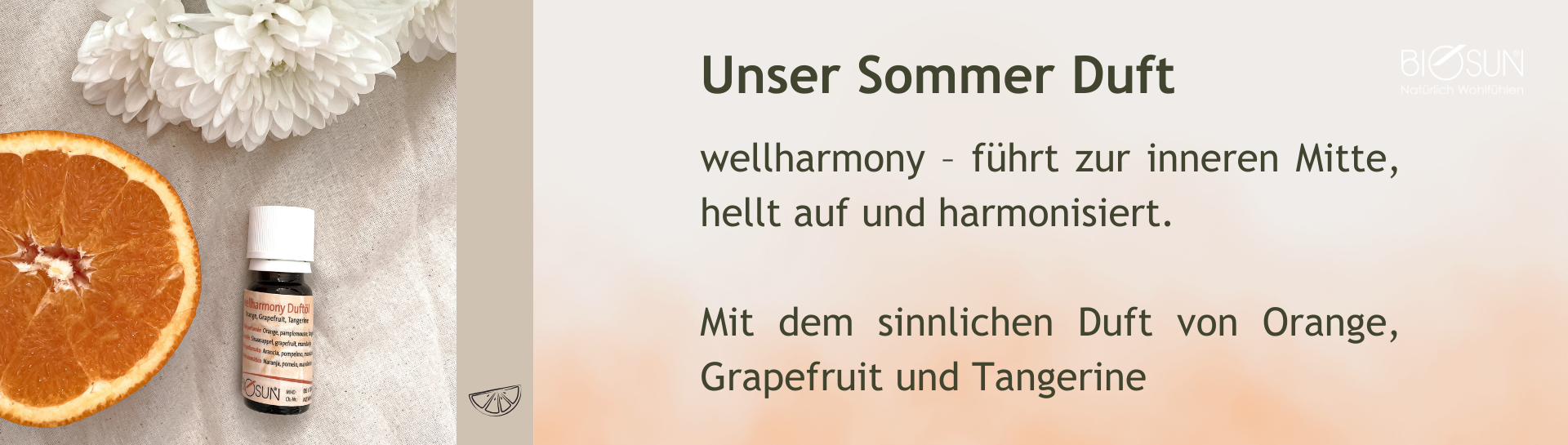 BIOSUN Ohrkerzen direkt vom Hersteller – Ohrenkerzen mit neuem ...